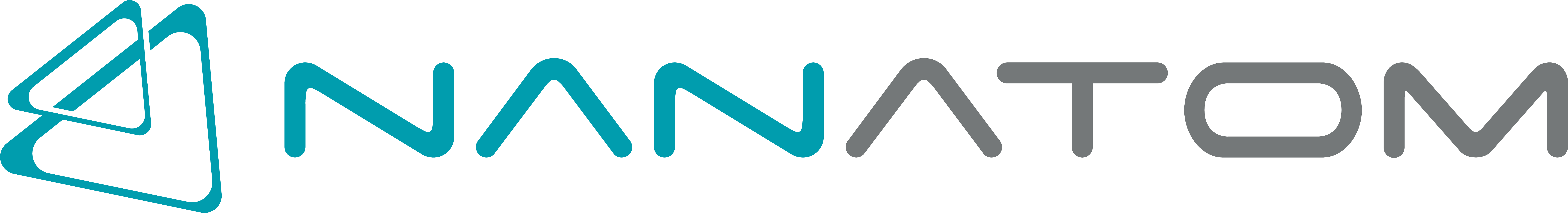 Nanatom